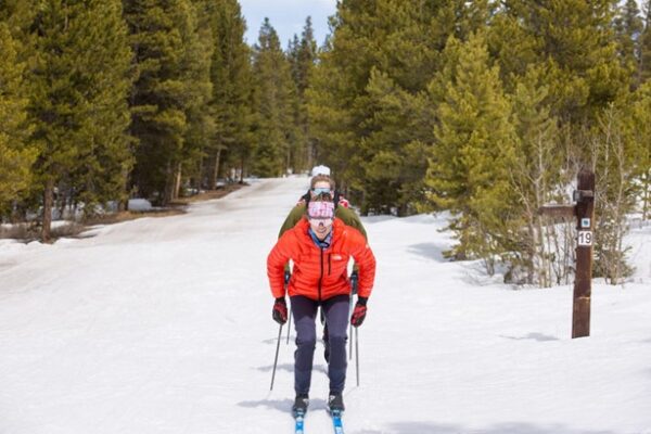 The Pursuit of Excellence in the Double Pole Technique by Marianne ...